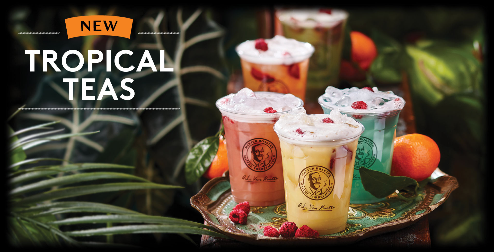 Café Van Houtte – Master Roaster Since 1919